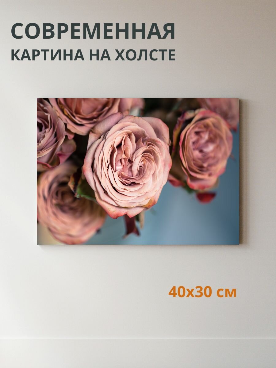 Картина на холсте Розы/растения 40x30 см