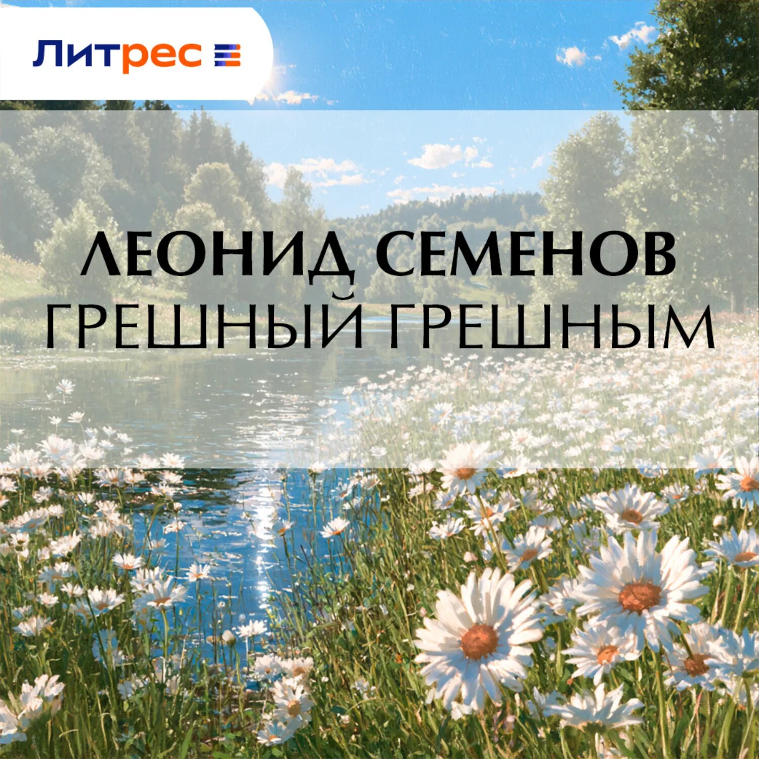 Грешный грешным [Аудиокнига]