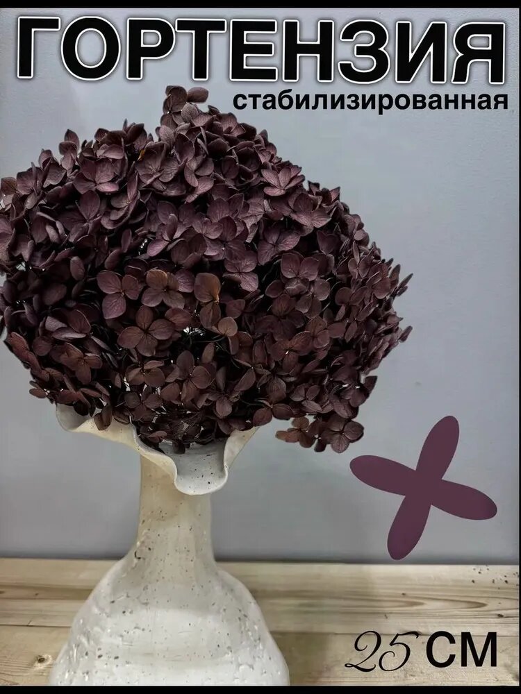 Сухоцветы Гортензия 50 см 1 шт темно-бордовый