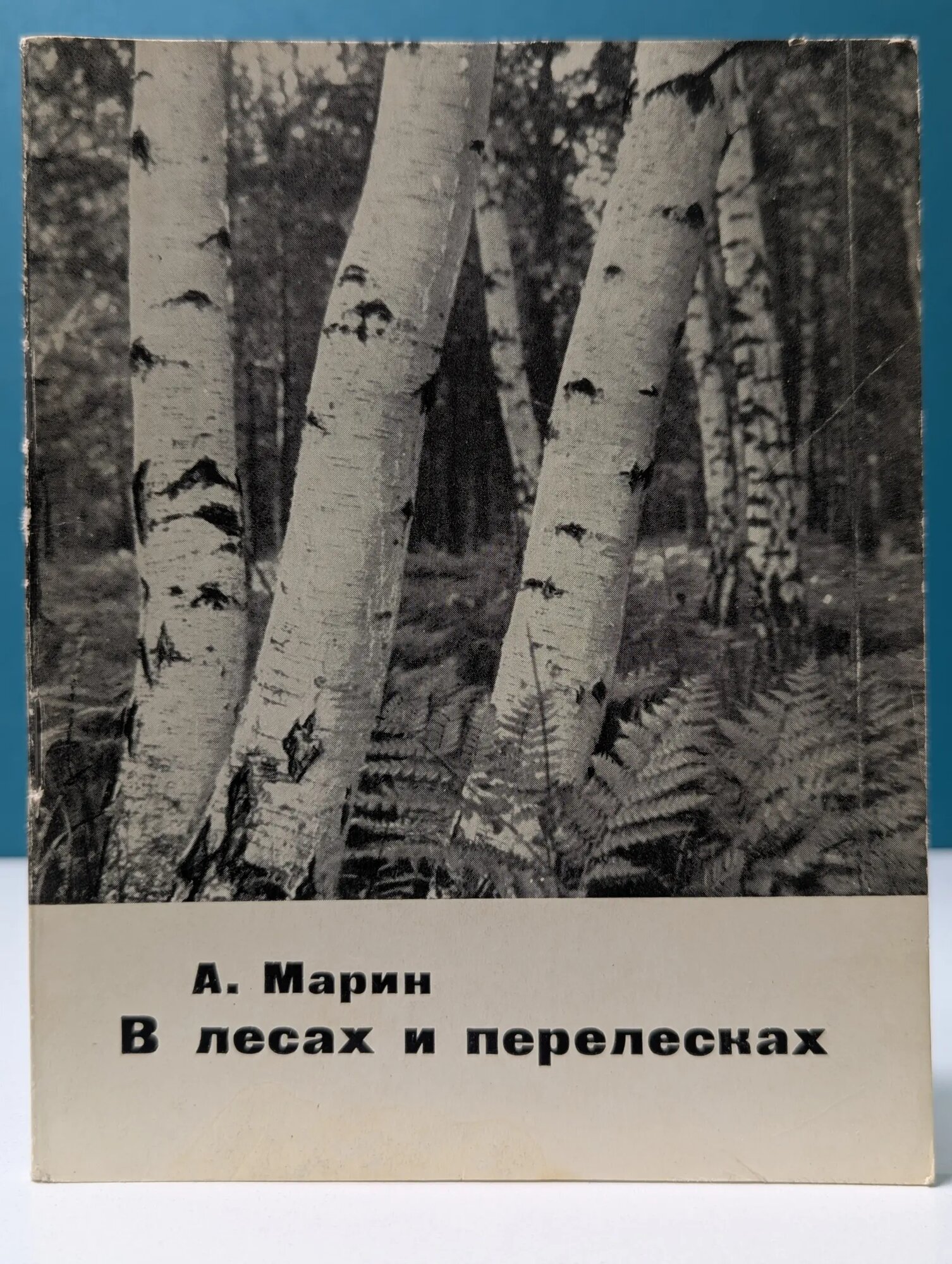 В лесах и перелесках Марин Александр Петрович 1969