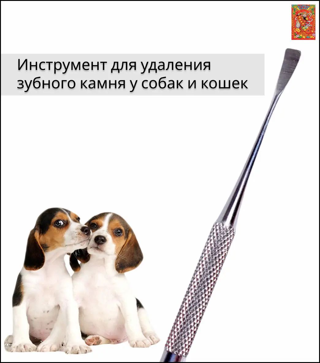 Зубная щетка для животных 3/LaVka. Инструмент для удаления зубного камня /налета у собак и кошек.
