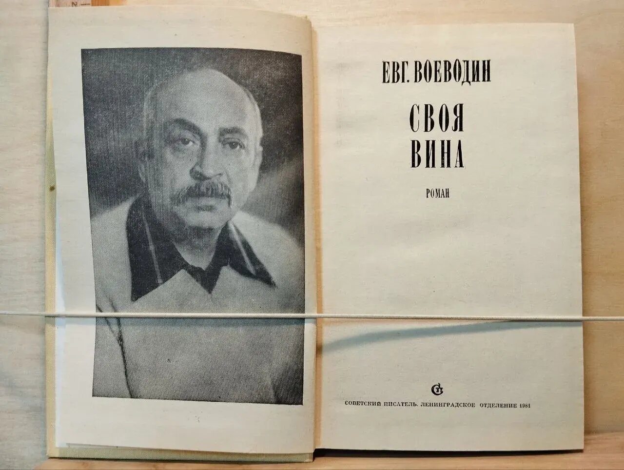Своя вина — фото 1
