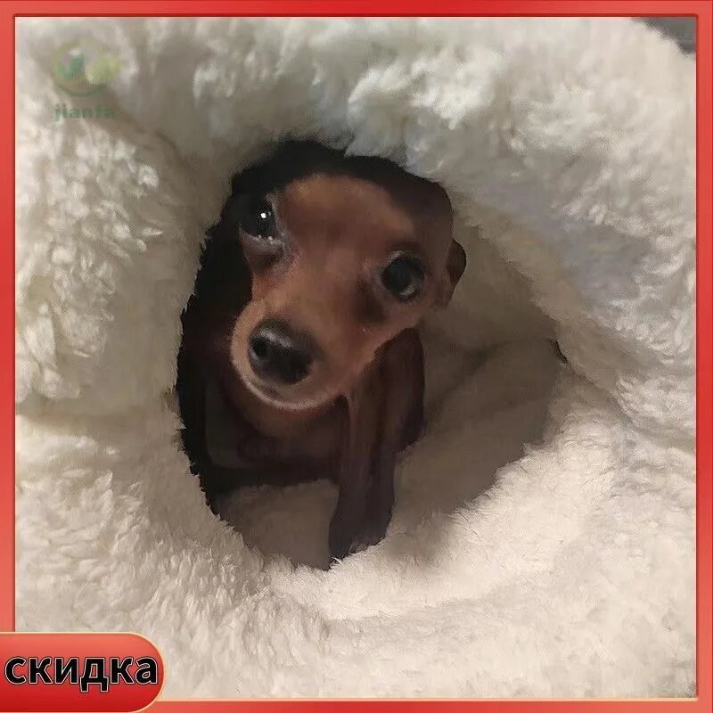 Гнездо для животных "jianfa" Теплый спальный мешок для кота, лежанка из плюша, желтый — фото 1
