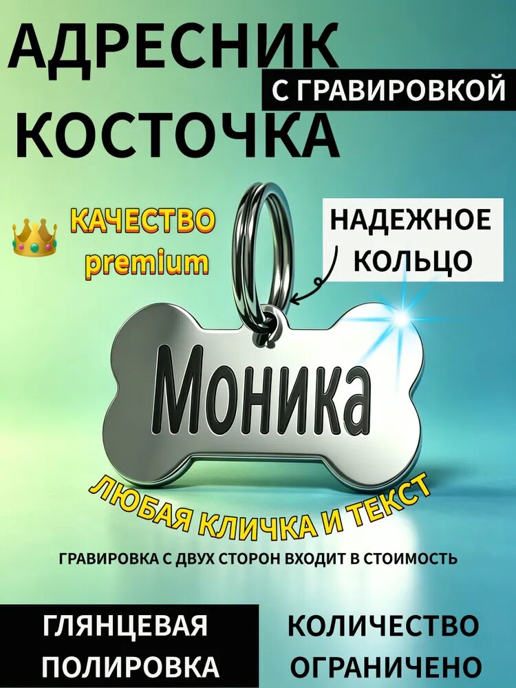 Адресник для собак с гравировкой. Нержавеющая сталь, глянец, серебристый,30x18x1.8mm