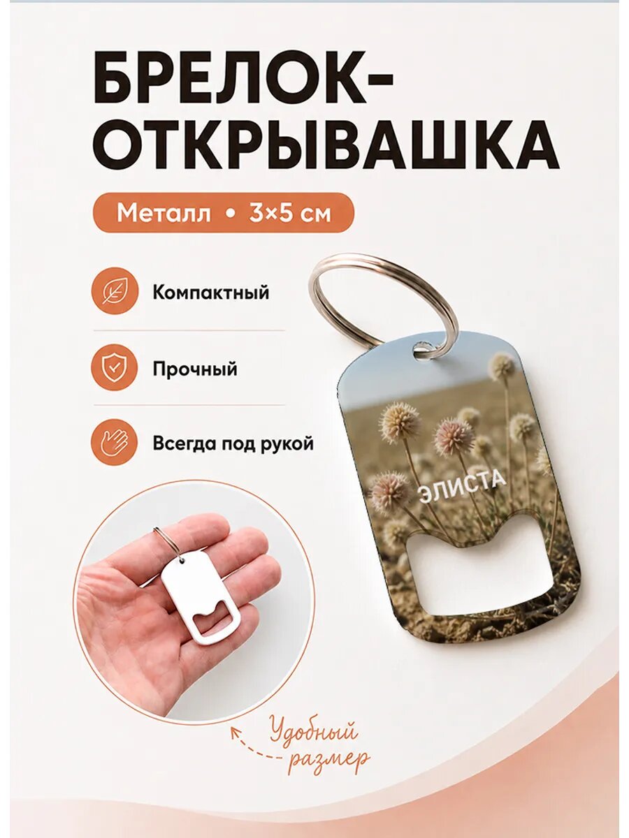 Брелок открывашка "Элиста Сухоцветы в Степи"