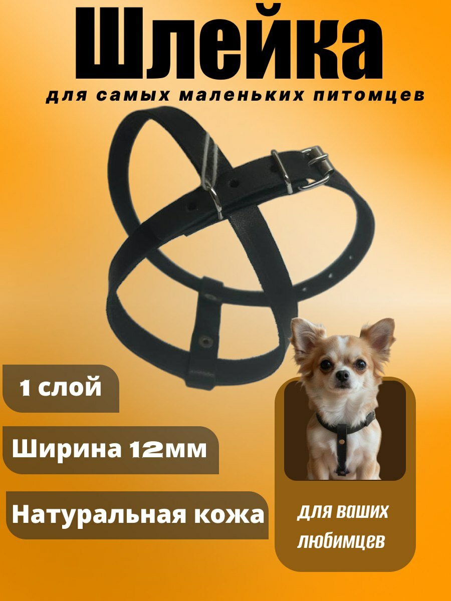 Баска