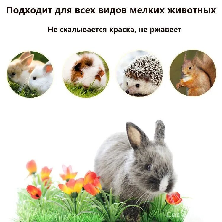 Клетка для кроликов 50x30x40 см белая металлическая складная с кормушкой для грызунов — фото 1