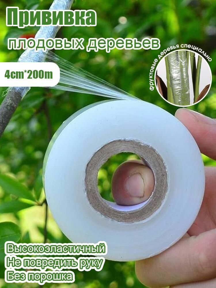 Привитые мембранные фруктовые деревья