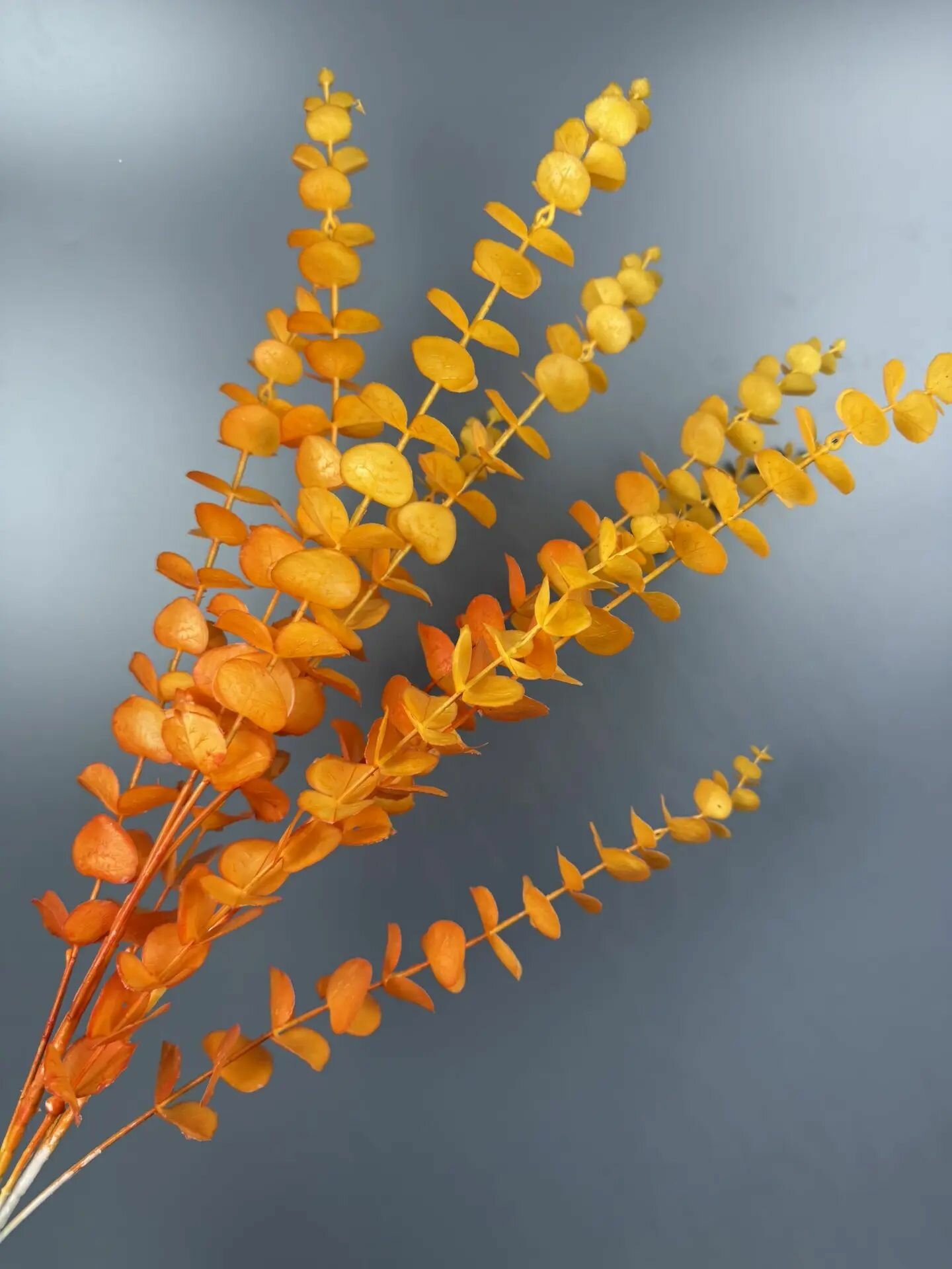 Искусственные цветы растение Эвкалипт 2 шт для декора и интерьера премиум серия оранжевый