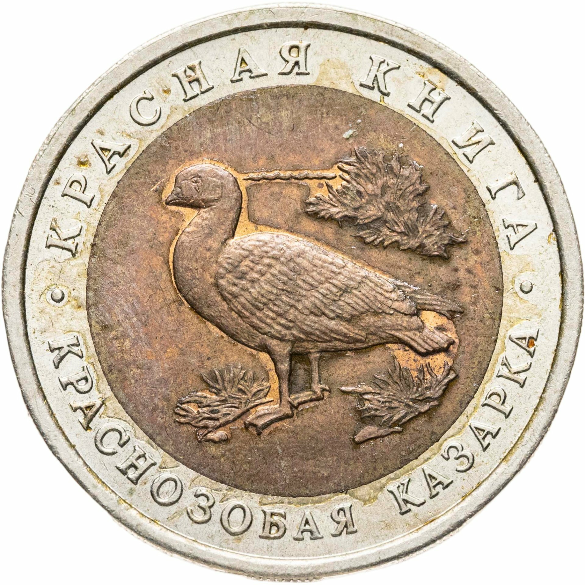 10 рублей 1992 ЛМД Краснозобая казарка, Биметалл, в сохранности AU