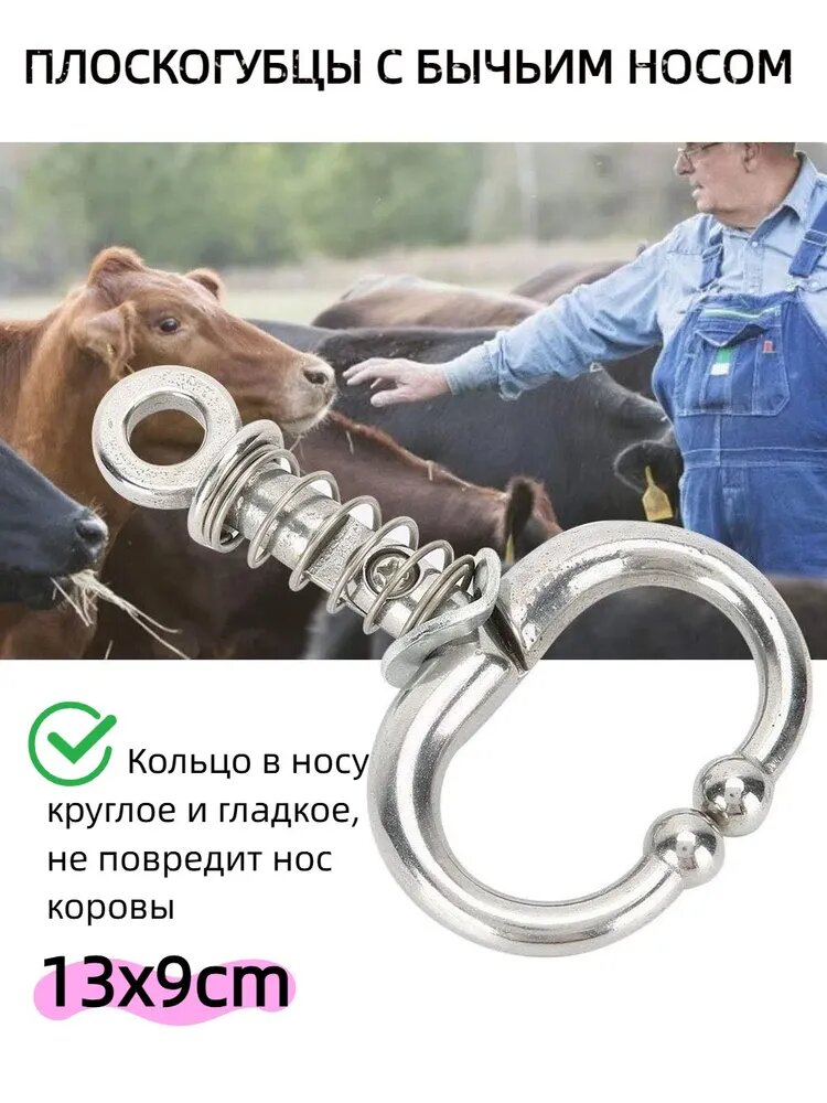 Щипцы носовые для фиксации КРС с пружиной из металла, для коров, кольцо в носу, 13х9см