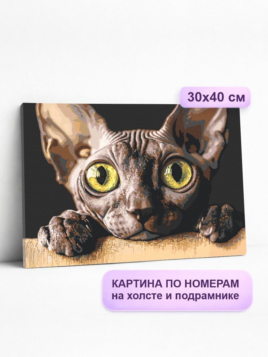 Картина по номерам на холсте с подрамником 30х40 см. Природа, горы, море, волны, пейзажи, небо, путешествия. " Кот. Сфинкс", арт. 7271/