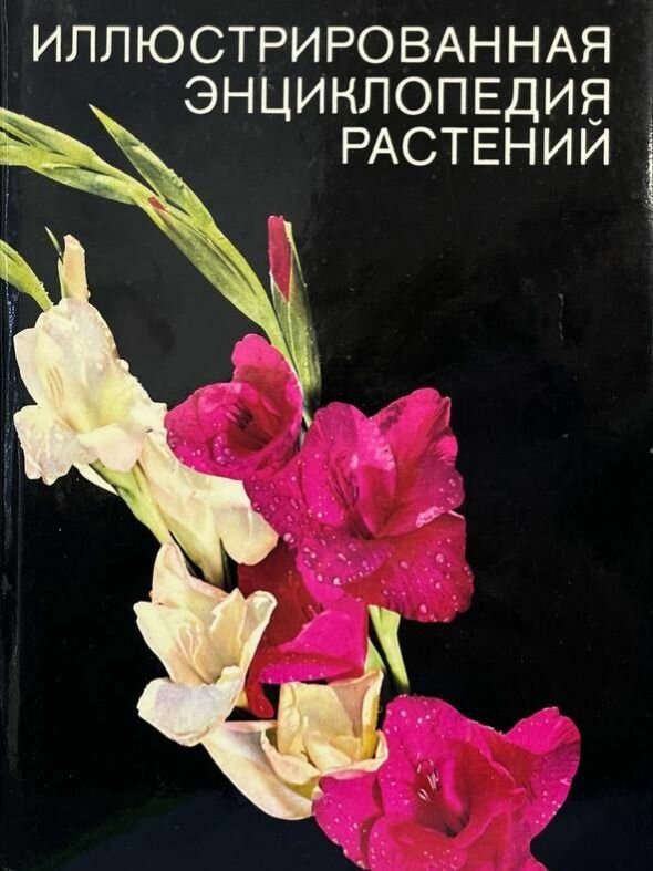 Иллюстрированная энциклопедия растений. Новак Ф. А. Артия. 1985. Твердый переплет, суперобложка. 592 стр