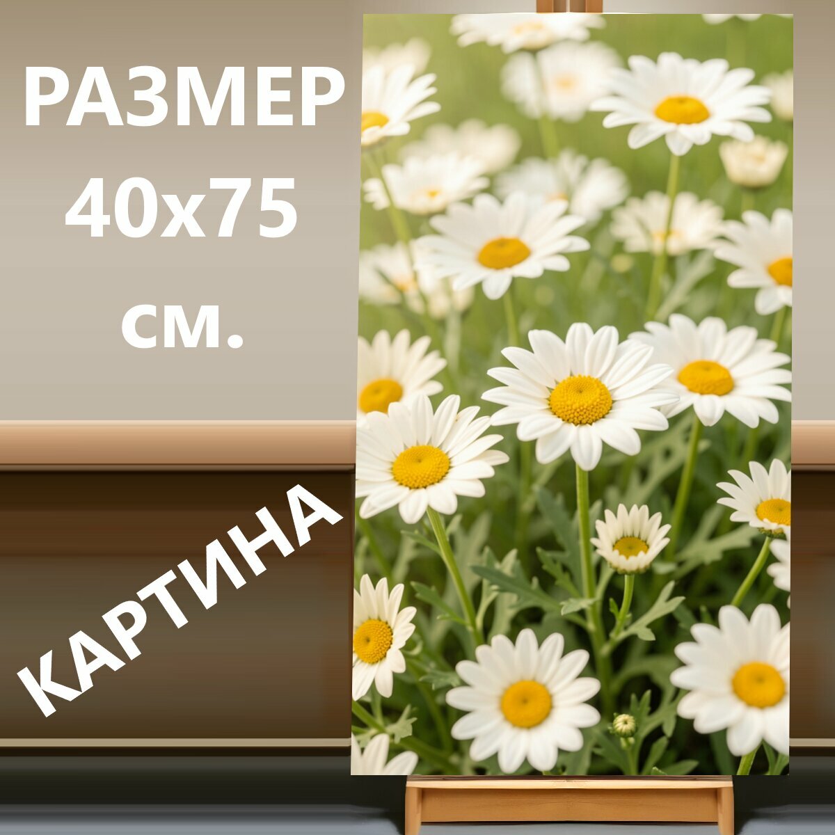 Картина на холсте "Белые ромашки на зеленом фоне. Нежные полевые цветы с белыми лепестками и ярко-желтыми сердцевинами в мягком размытом свете." на подрамнике 75х40 см. для интерьера
