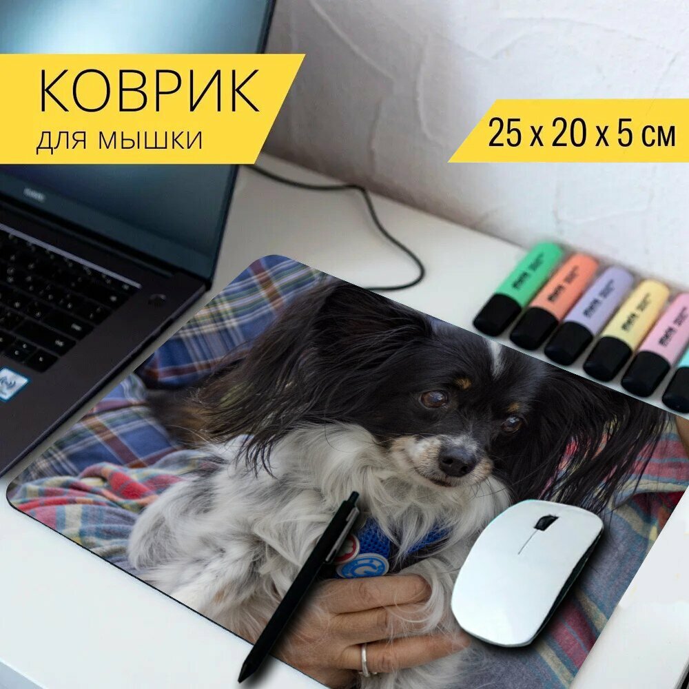 Коврик для мыши с принтом "Папийон маленькая собака с интересными ушами собака собачий домашнее животное папиллон милый маленькая собака" 25x20см.