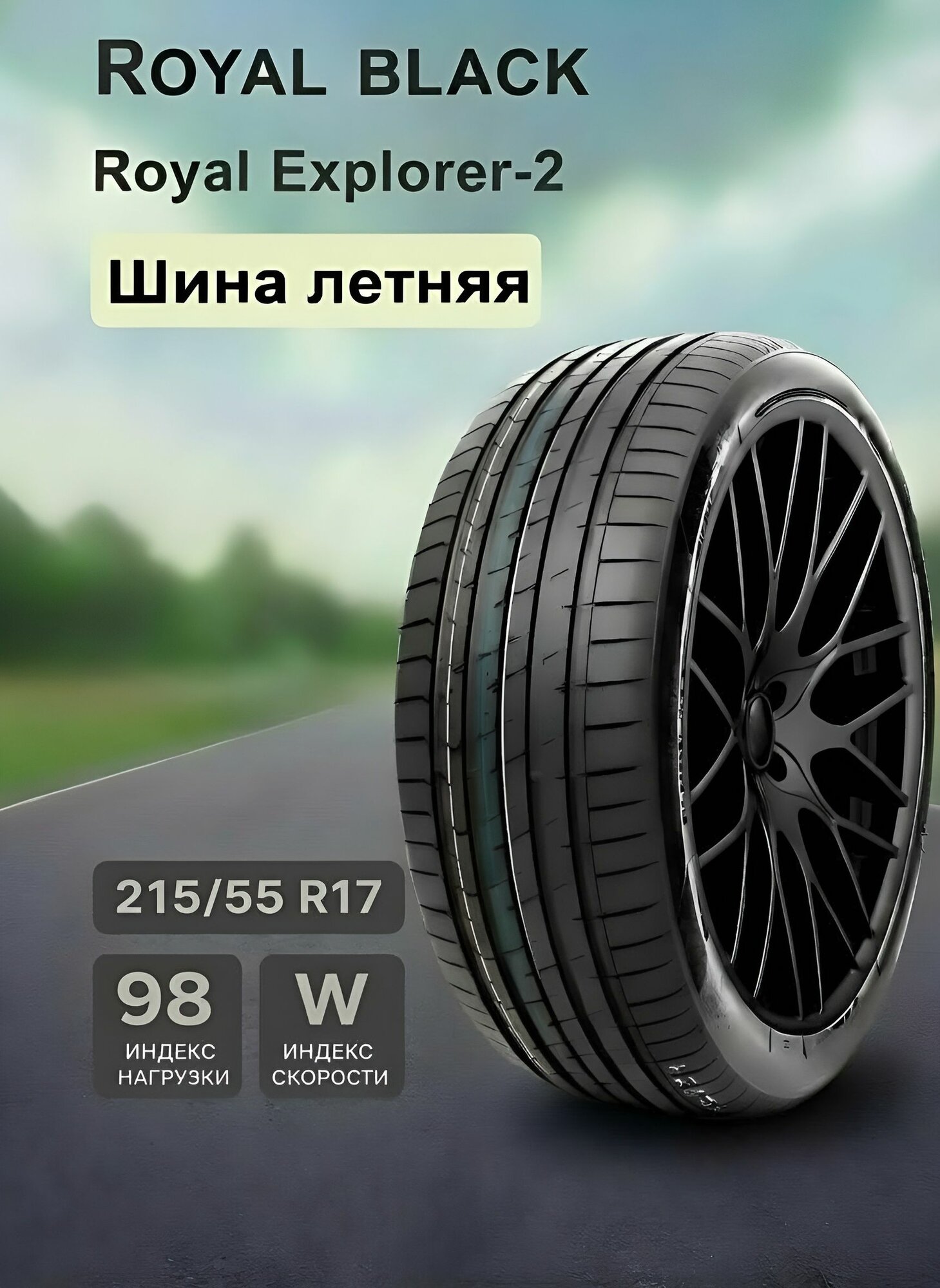 ROYAL BLACK Royal Explorer-2 Шины летние 215/55R17 98W нешипованные