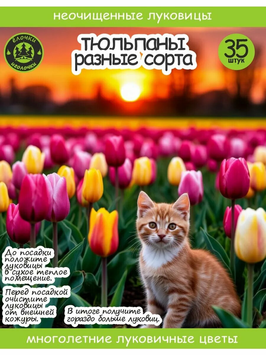 Тюльпан Луковицы неочищенные, Микс сортов, 35шт
