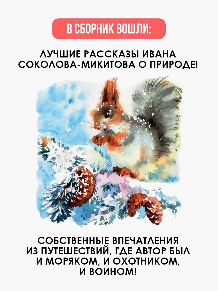 Русский лес — фото 1