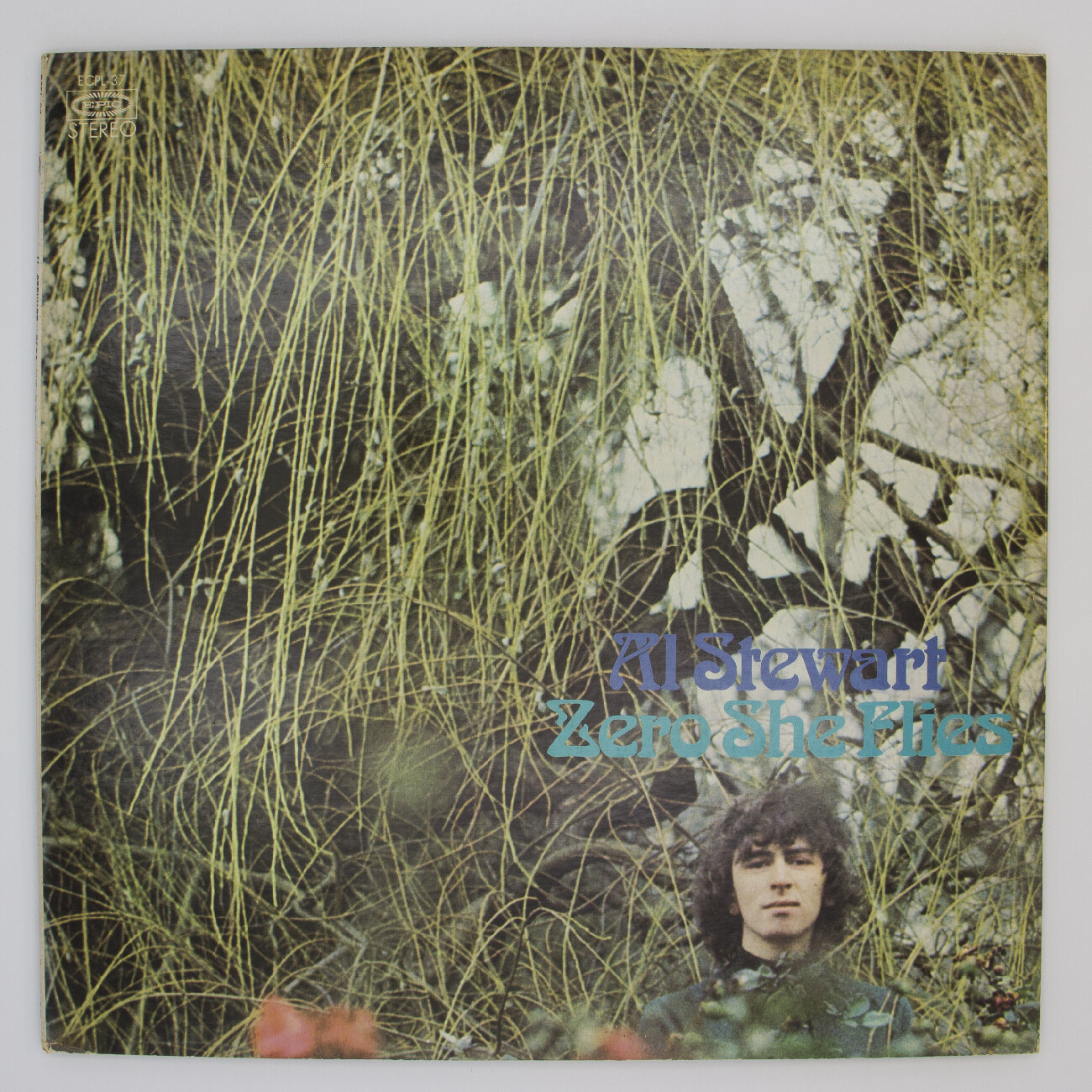 Виниловая пластинка Al Stewart - Zero She Flies, 1xLP, EX