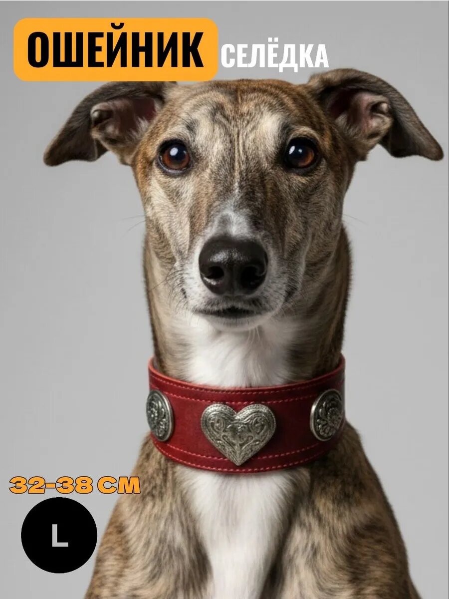 Dogbond ошейник-селедка для малых и средних пород
