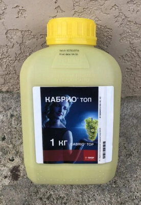 Cabrio top, Контактно-локально-системный фунгицид с максимальным спектром защиты и лечения болезней винограда и овощных культур, 100 грамм