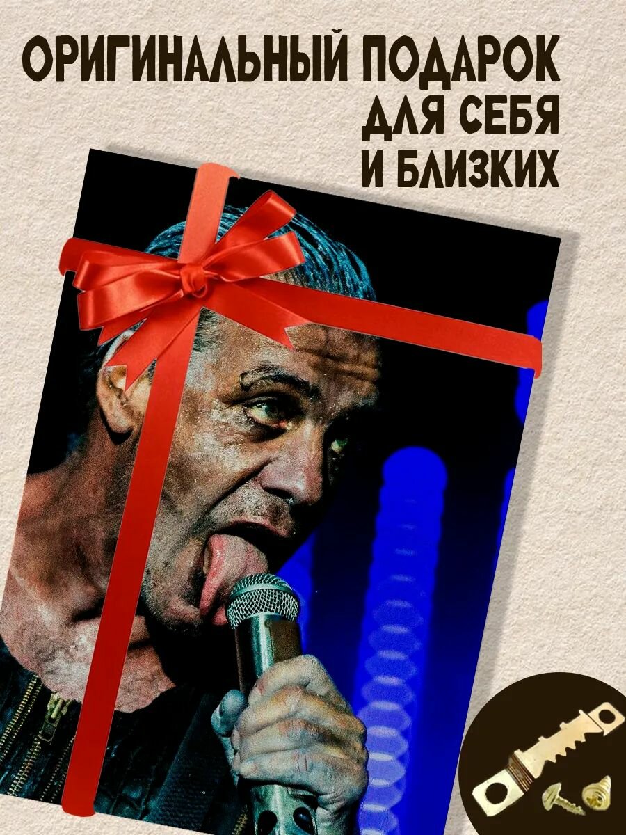 Картина на стену Rammstein, на подрамнике, 1шт, 25х17 размер. — фото 1