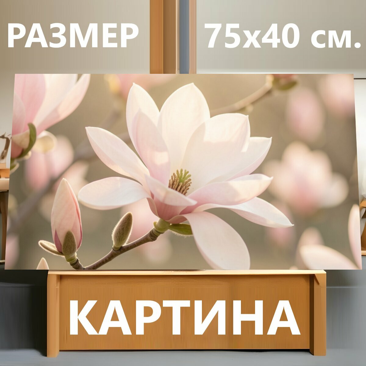Картина на холсте "Нежные цветы магнолии. Легкая весенняя композиция с крупными лепестками в пастельно-розовых и белых тонах, мягкое боке." на подрамнике 75х40 см. для интерьера