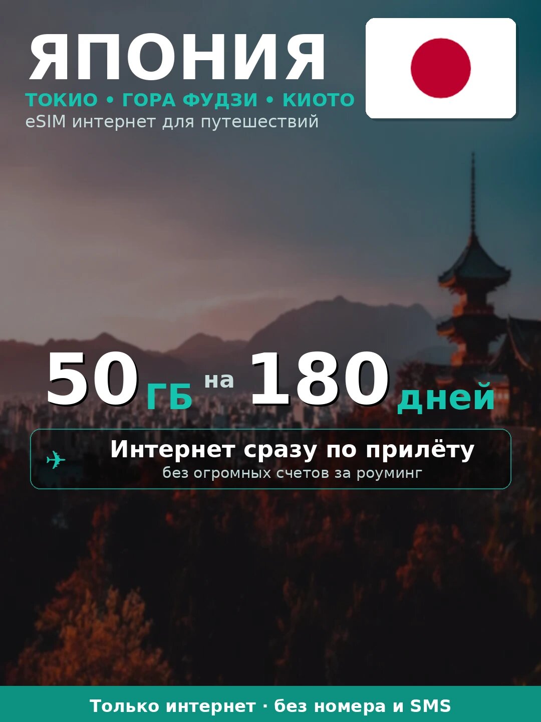 ESIM Япония — мобильный интернет 50 ГБ на 180 дней | виртуальная SIM-карта для путешествий