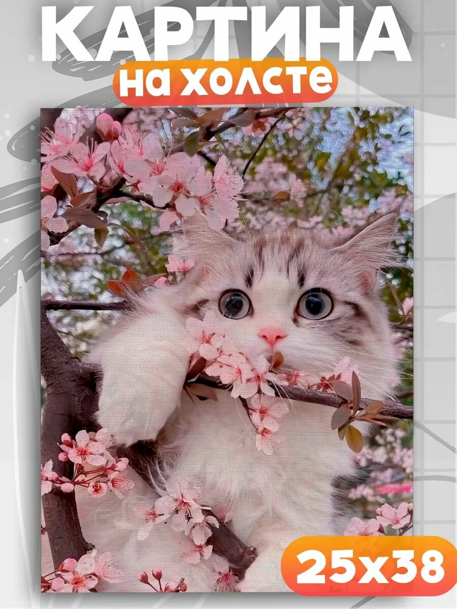 Картина на стену милые котики, на подрамнике, 1шт, 38х25 размер.