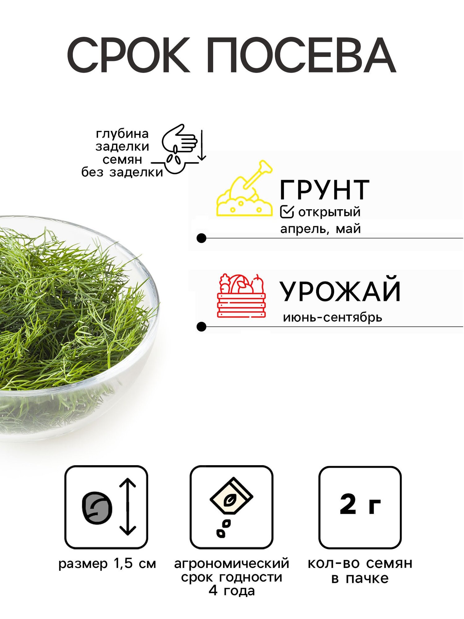 Семена Укроп «Сари» 2 г — фото 1