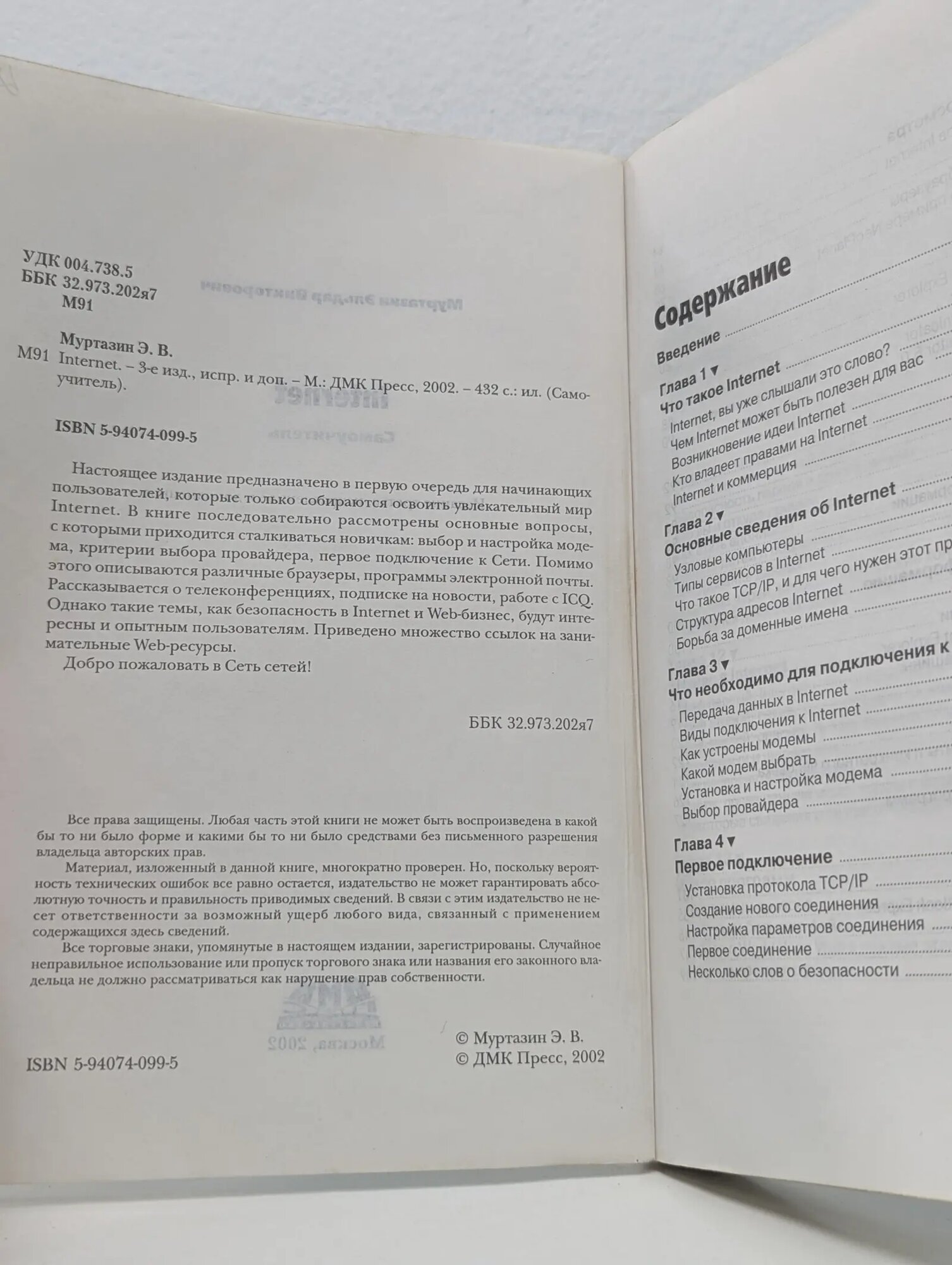 Самоучитель. Internet Муртазин Эльдар Викторович 2002 — фото 1