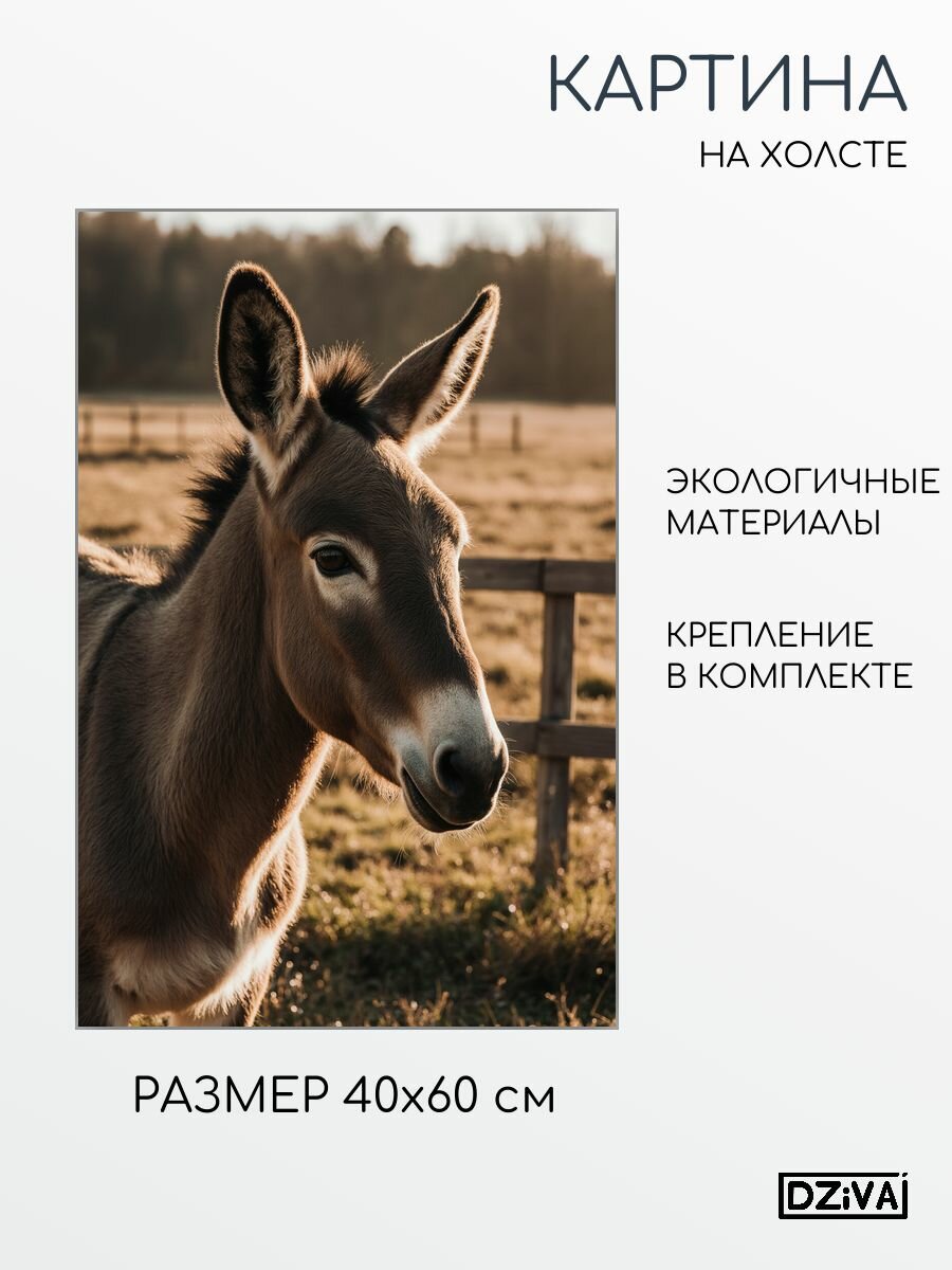 Картина на холсте портрет осла на пастбище 40x60 см