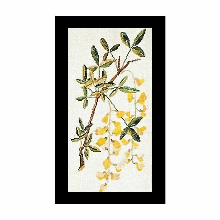 Набор для вышивания Ракитник, канва аида 18 ct 19 x 35 см THEA GOUVERNEUR 894A