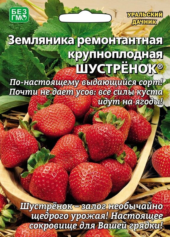 Семена земляники Уральский дачник Шустренок, ремонтантная, крупноплодная, 10 шт
