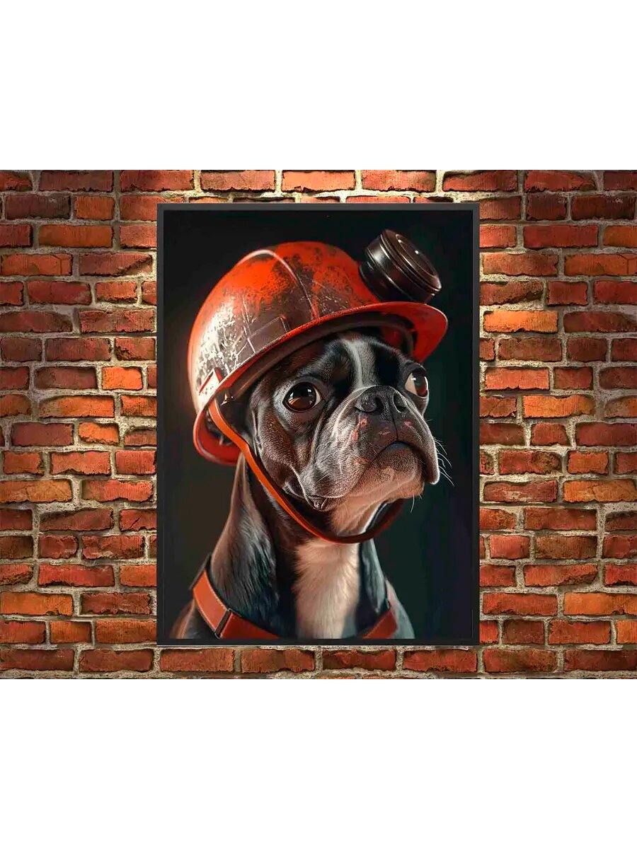 Бостонские терьеры- Строители собак 1, Плакат 30x42см