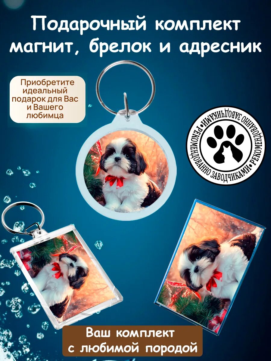 Подарочный комплект магнит брелок адресник