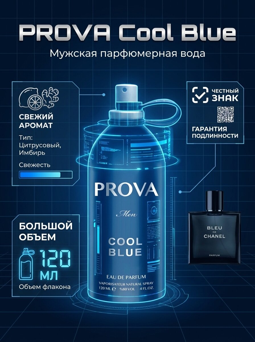Духи мужские PROVA, мужские стойкие, парфюм объемом 120 мл
