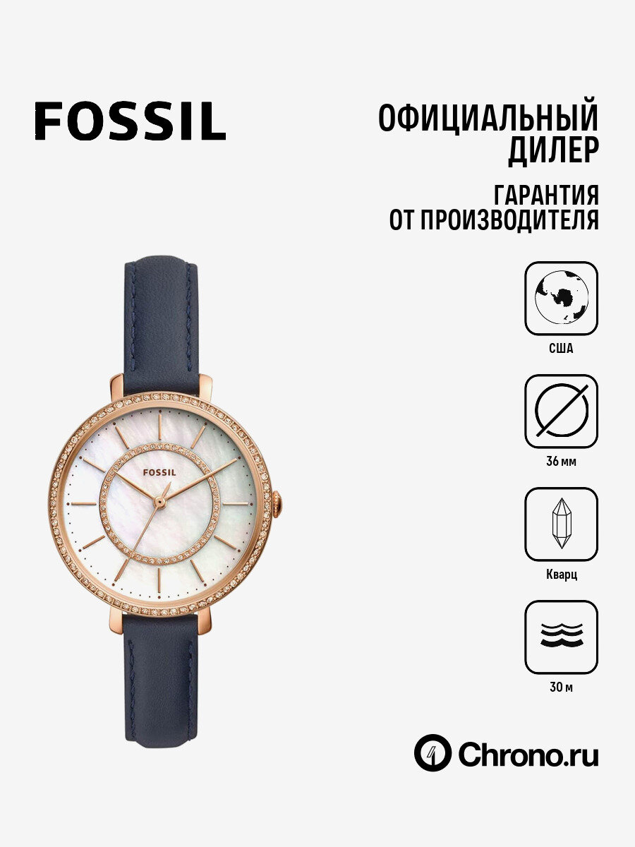  FOSSIL Jocelyn