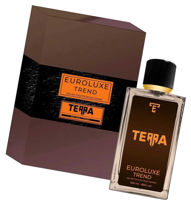 Мужская туалетная вода Евролюкс Терра 100 мл - Euroluxe Terra аромат