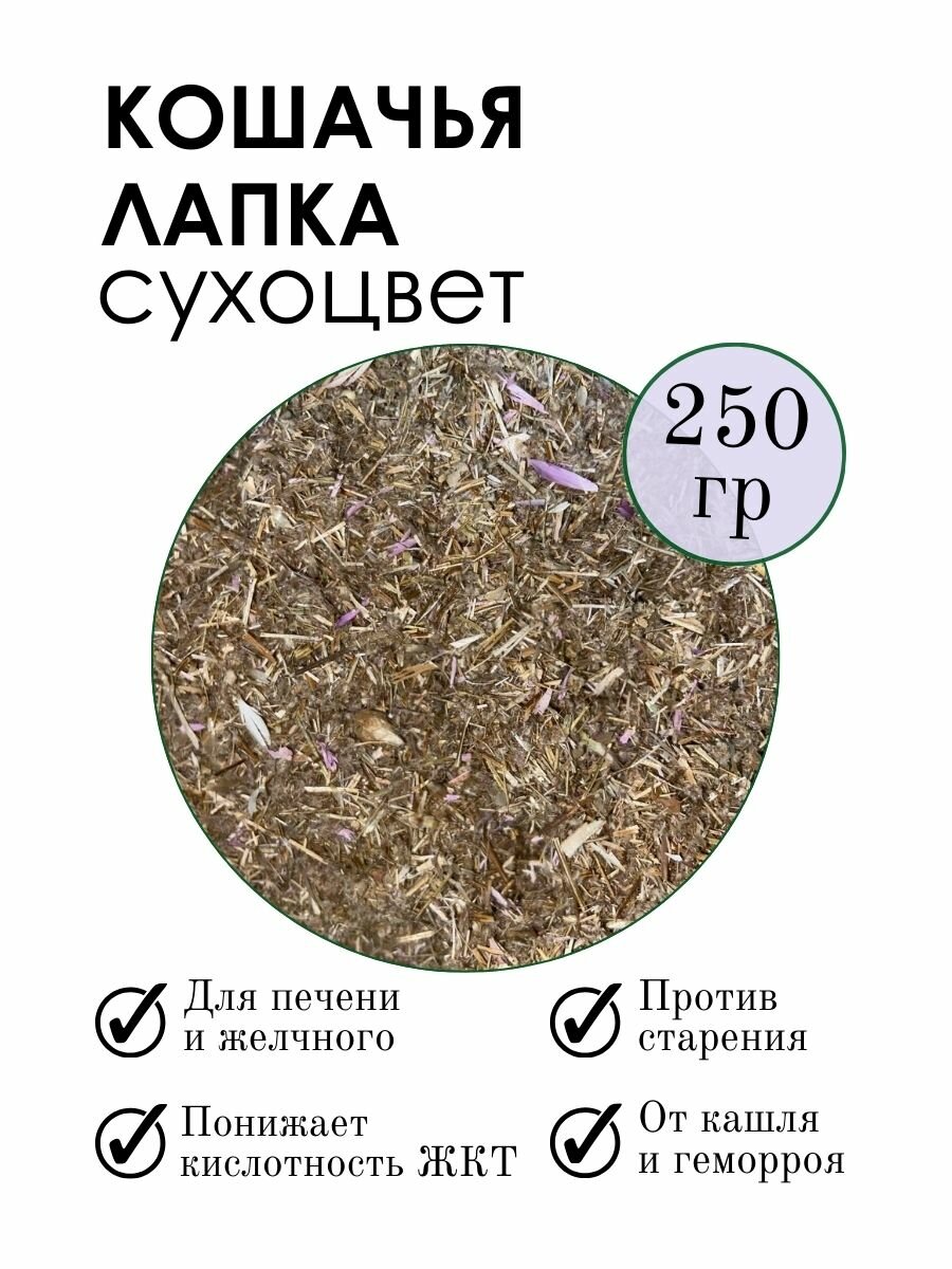 Кошачья лапка (сухоцвет) трава для печени и желчного средняя фракция, 250 г