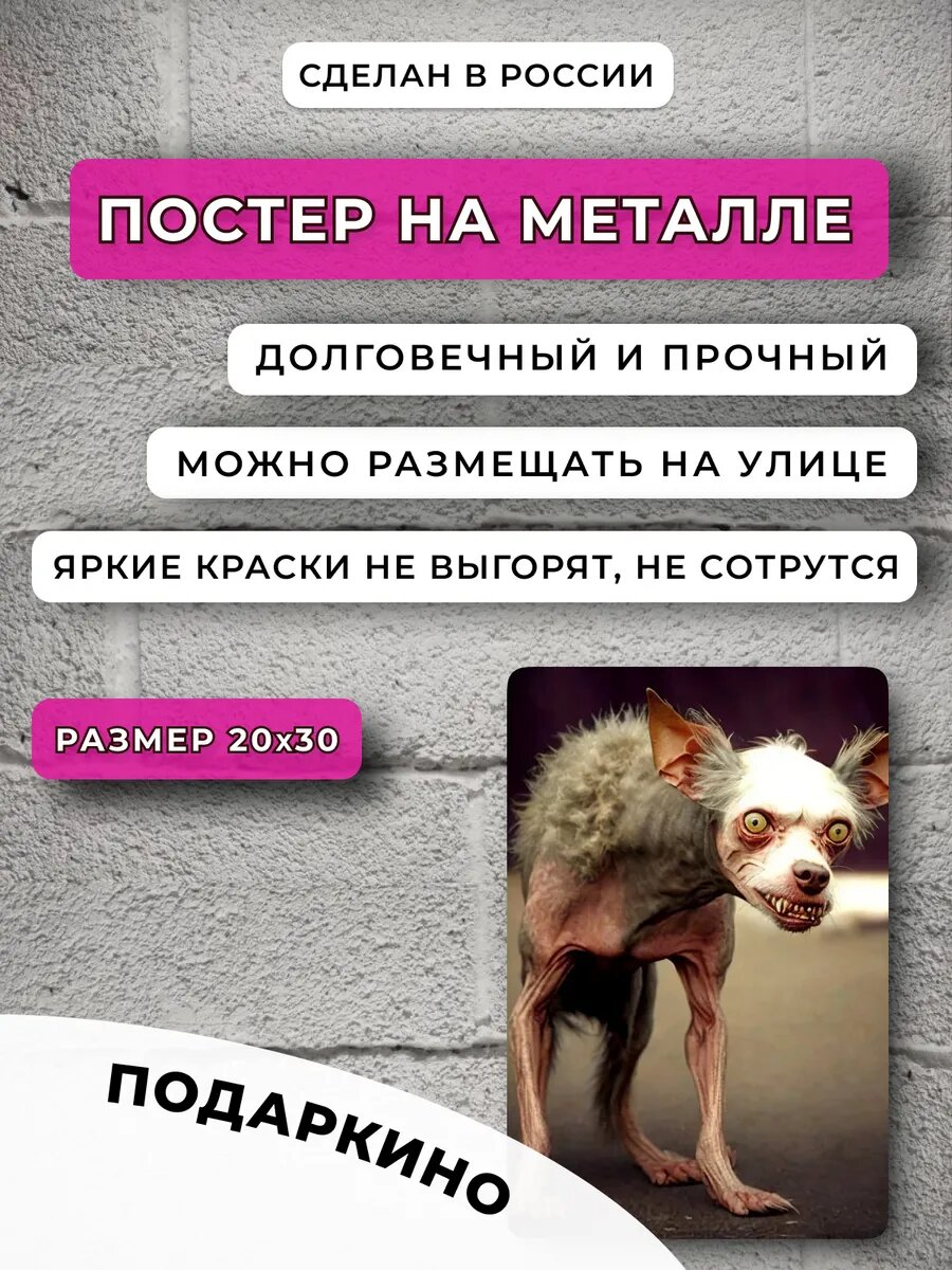 Собака сутулая постер — фото 1