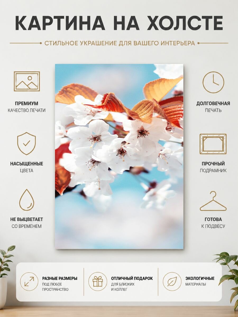 Картина на холсте Сакура 60x80 см