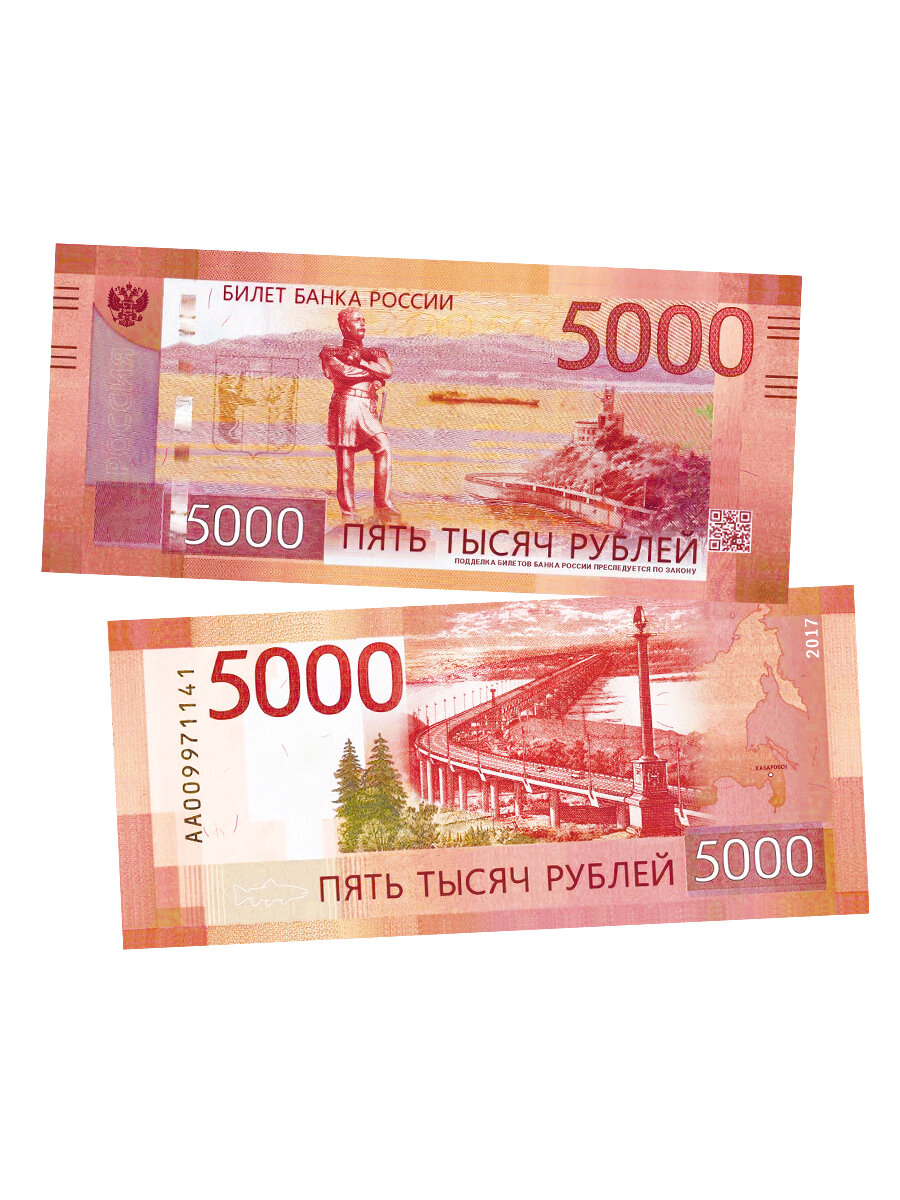 Проект 5000 рублей 2017 Хабаровск, сувенир