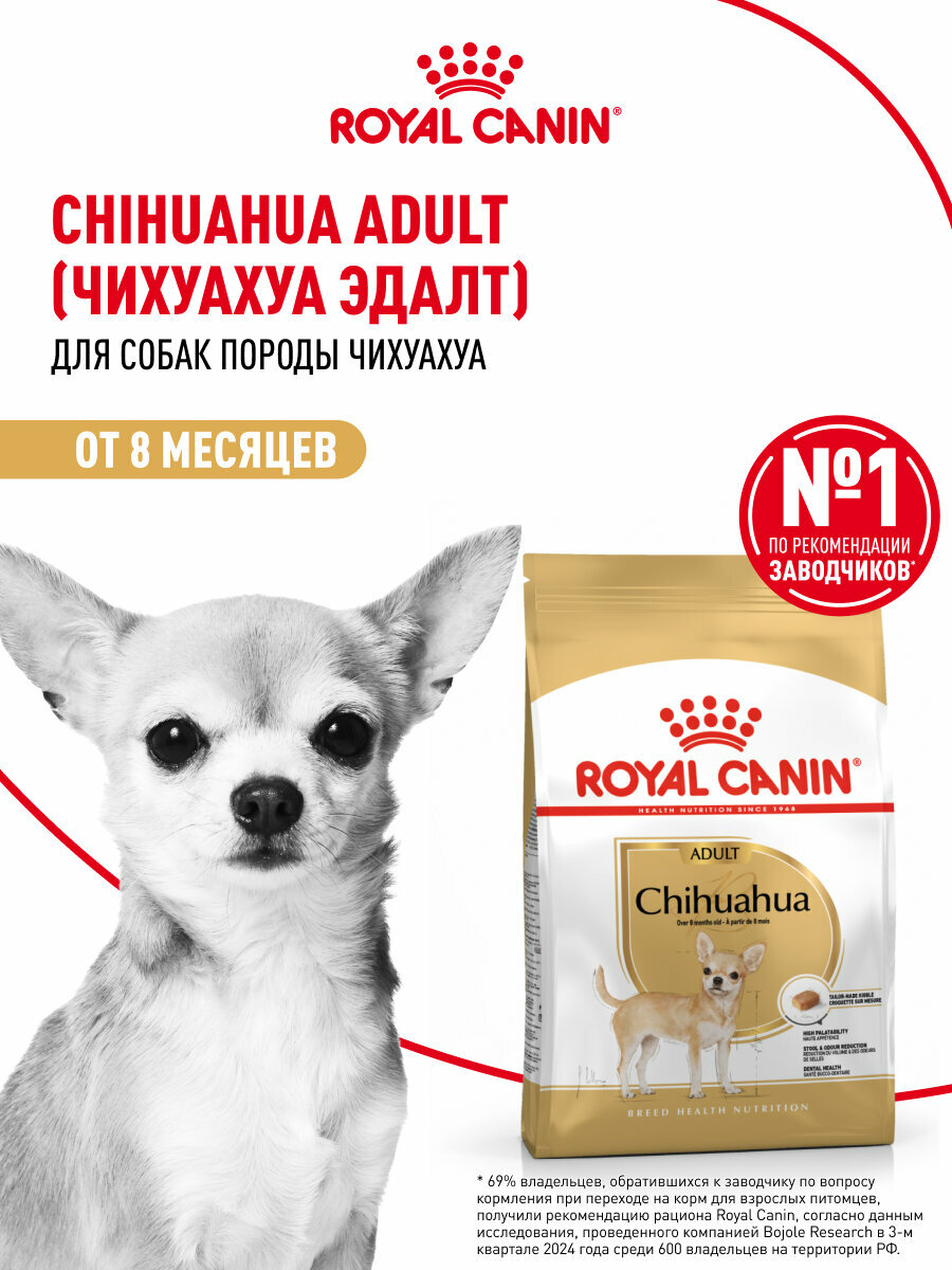 Сухой корм для собак Royal Canin Adult для породы чихуахуа, 0,5 кг