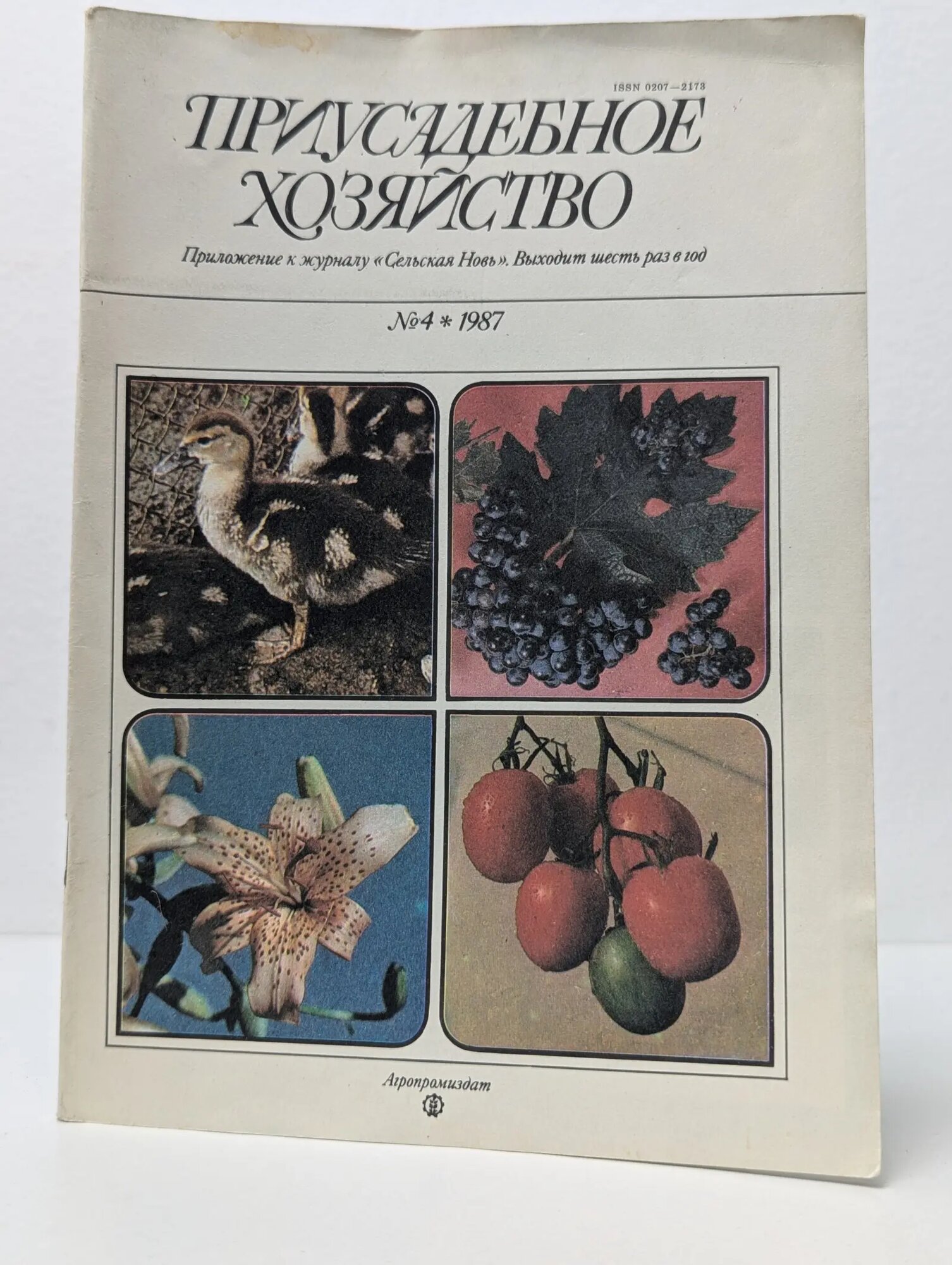Приусадебное хозяйство. Выпуск № 4/1987 Сборник 1987