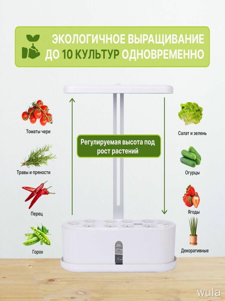 Умный сад wula LED подсветка выращивание зелени и помидоров 2L круглый год для дома гидропоника — фото 1