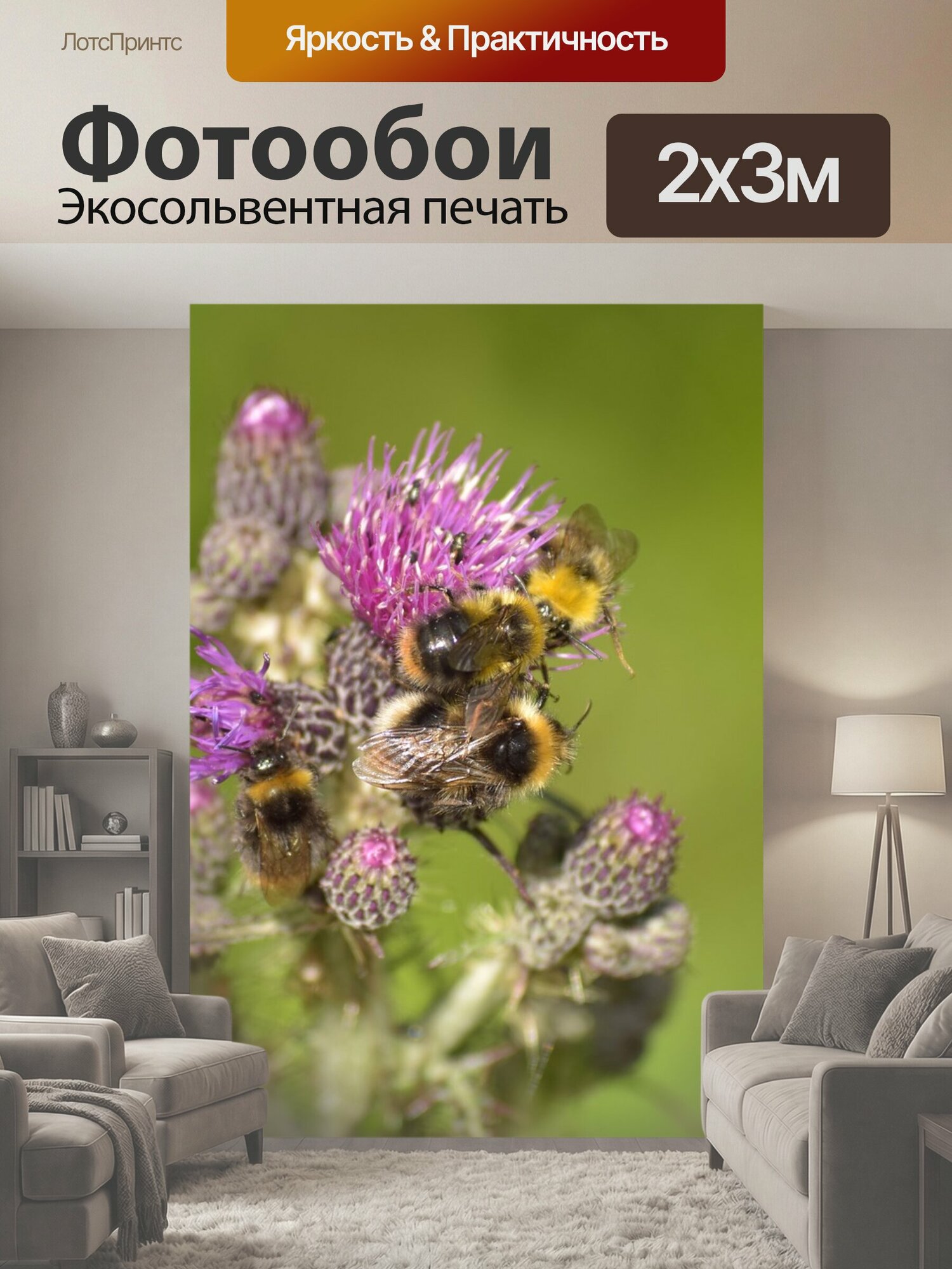 Фотообои "Закрывать, дикая пчела, diestel" 200x300 см. экосольвентная печать