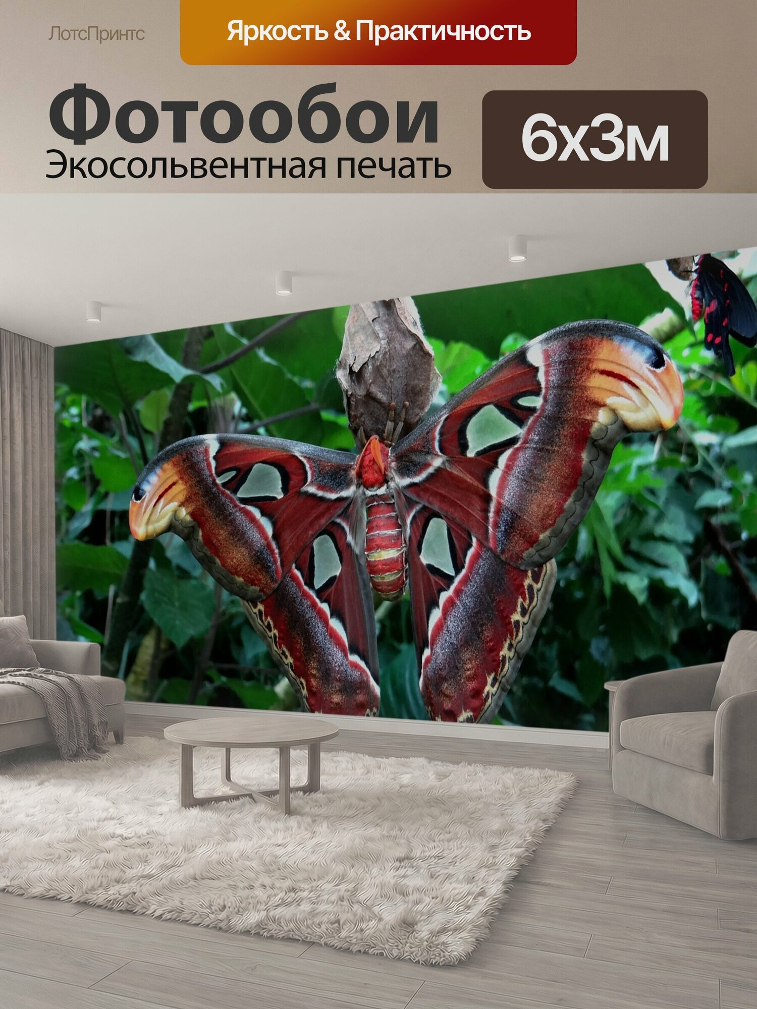 Фотообои "Атлас бабочек, павлиноглазка атлас, желтый коричневый" 600x300 см. экосольвентная печать