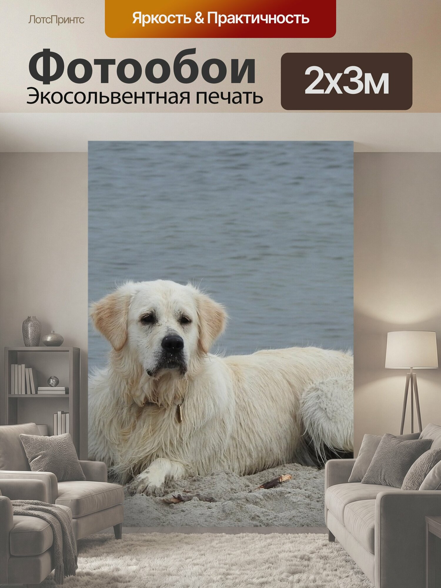 Фотообои "Золотистый ретривер, собака, пляж" 200x300 см. экосольвентная печать