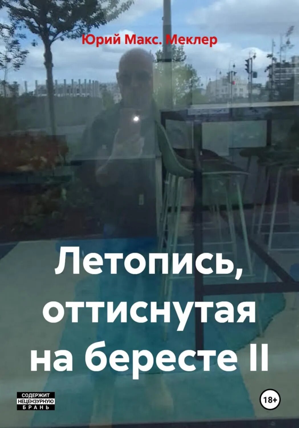 Летопись, оттиснутая на бересте II [Цифровая книга]